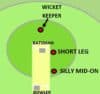 Cricket Fielding Positions & Explanations – Cricketers Hub