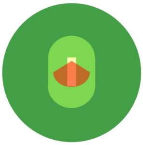 How To Play The Forward Defence – The Ultimate Guide – Cricketers Hub